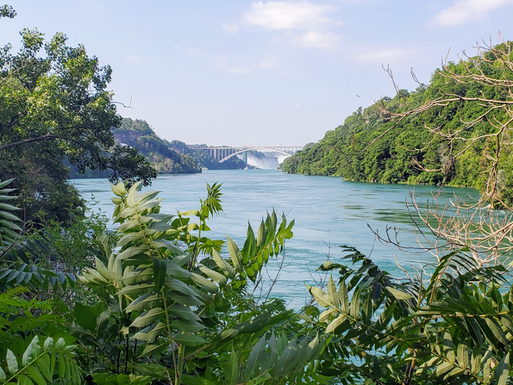 Hiking the Niagara Gorge Trail System - Outside Chronicles